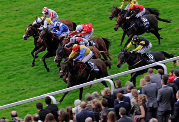 Horse Racing Results Form - Free Racecards Ratings Form Results