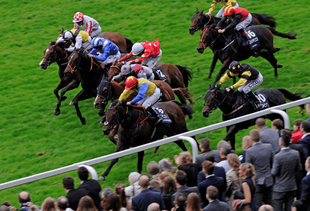 Horse Racing - Results Form - Horse Racing Results Racecard Data App ...